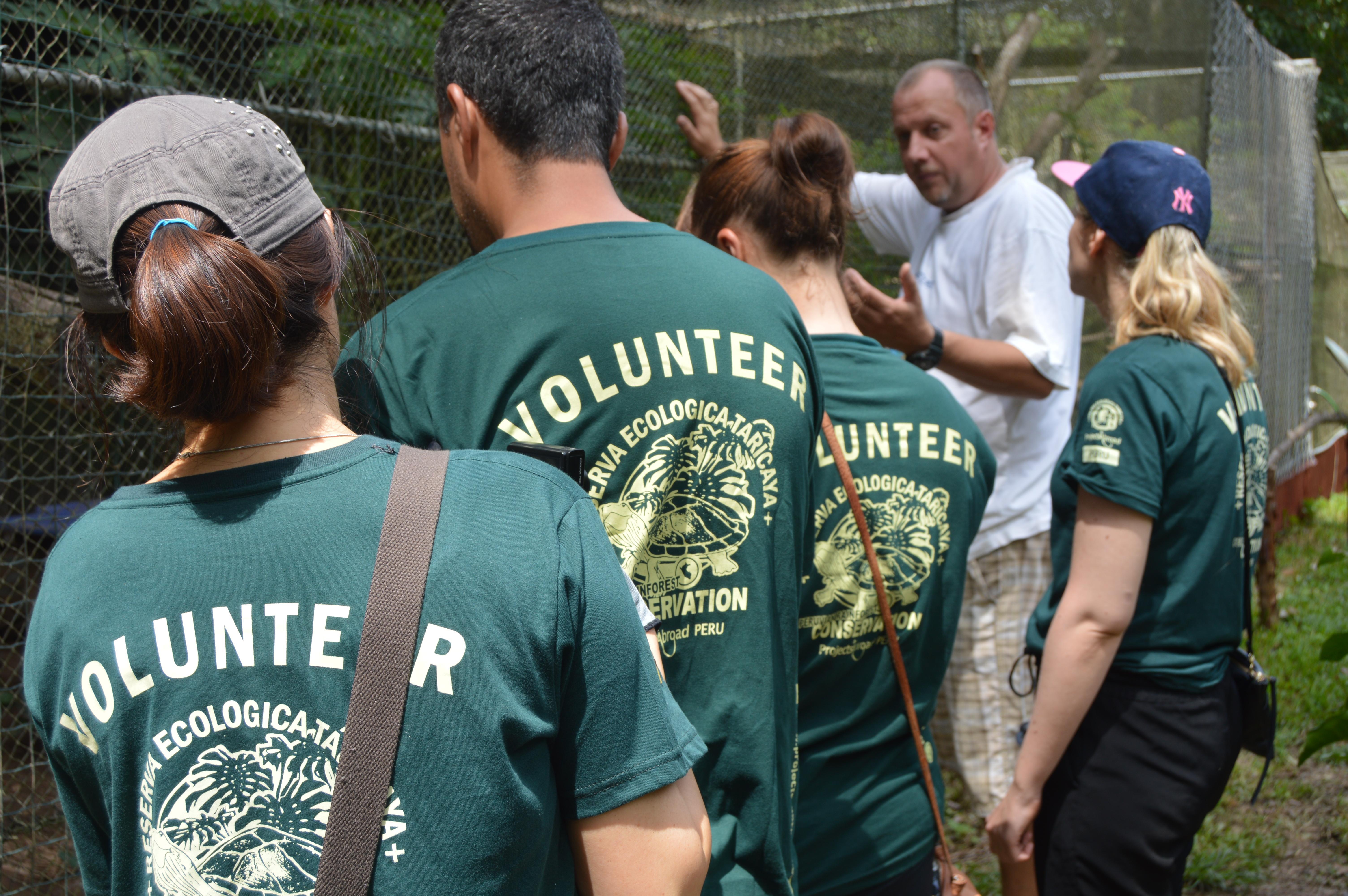 Journey of a Rainforest Conservation Volunteer in Peru | Projects Abroad